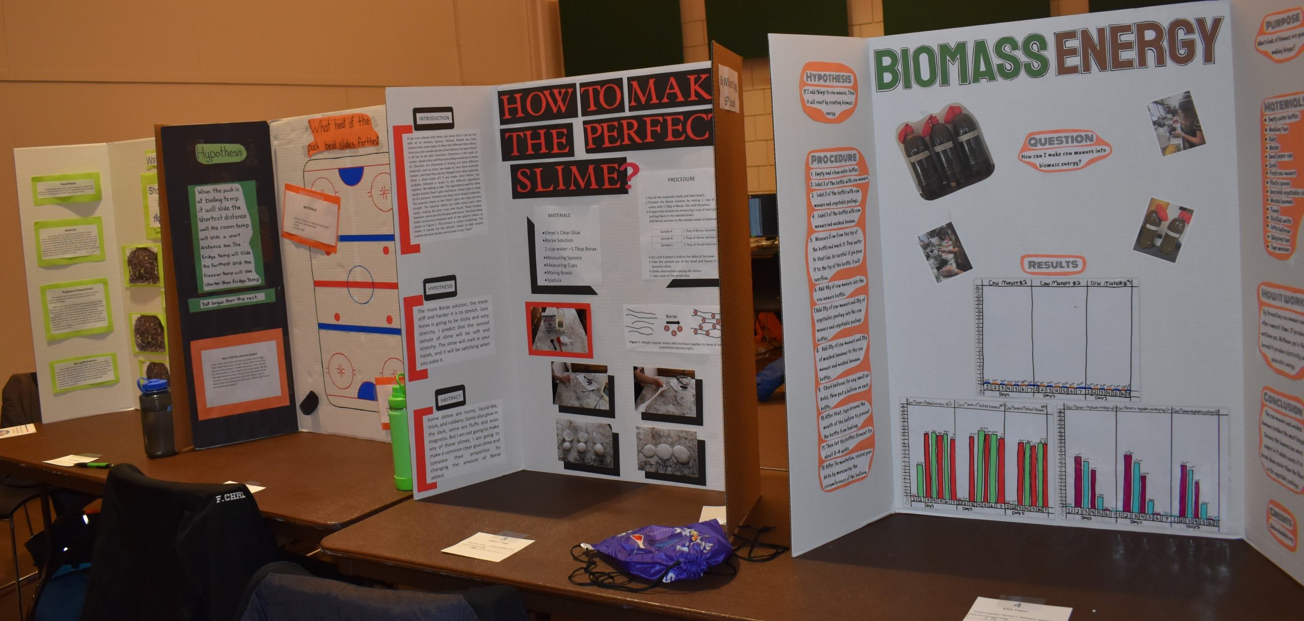 Northern Minnesota Regional Science Fair | Bemidji State University