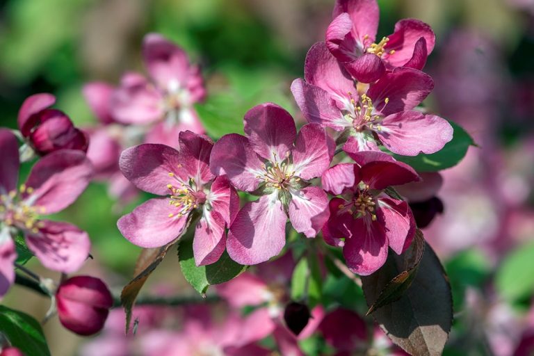 Student Resources | MyBSU | Bemidji State University