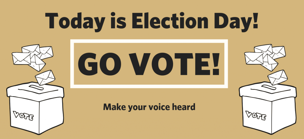 Today is Election Day: Learn Where and How to Vote | News | Bemidji ...