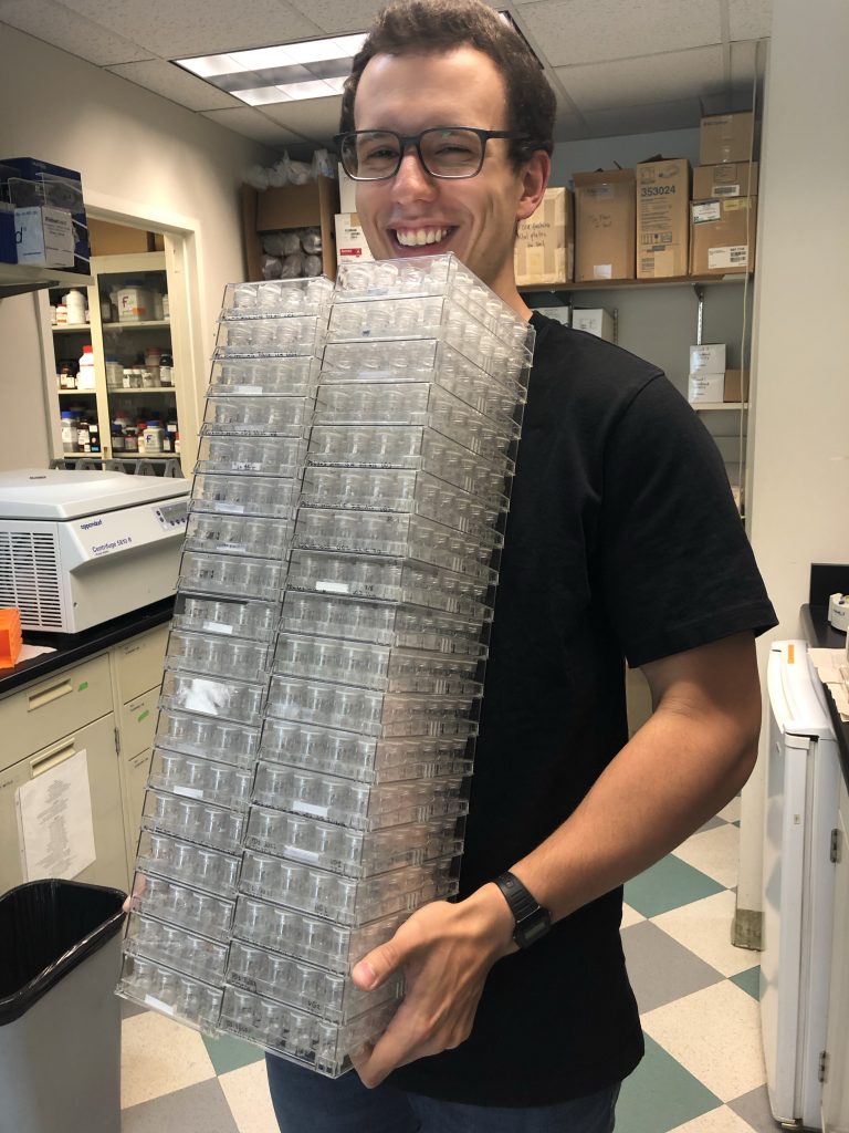 Three BSU Students Receive Scholarship Funds To Continue Undergraduate ...