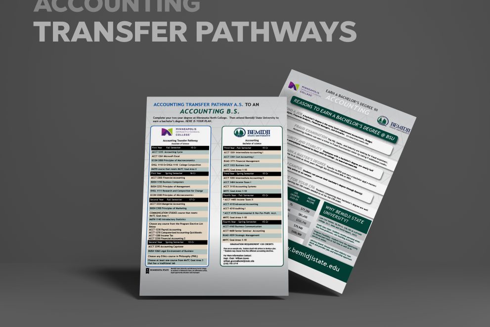 Project Examples | Digital Corps | Bemidji State University