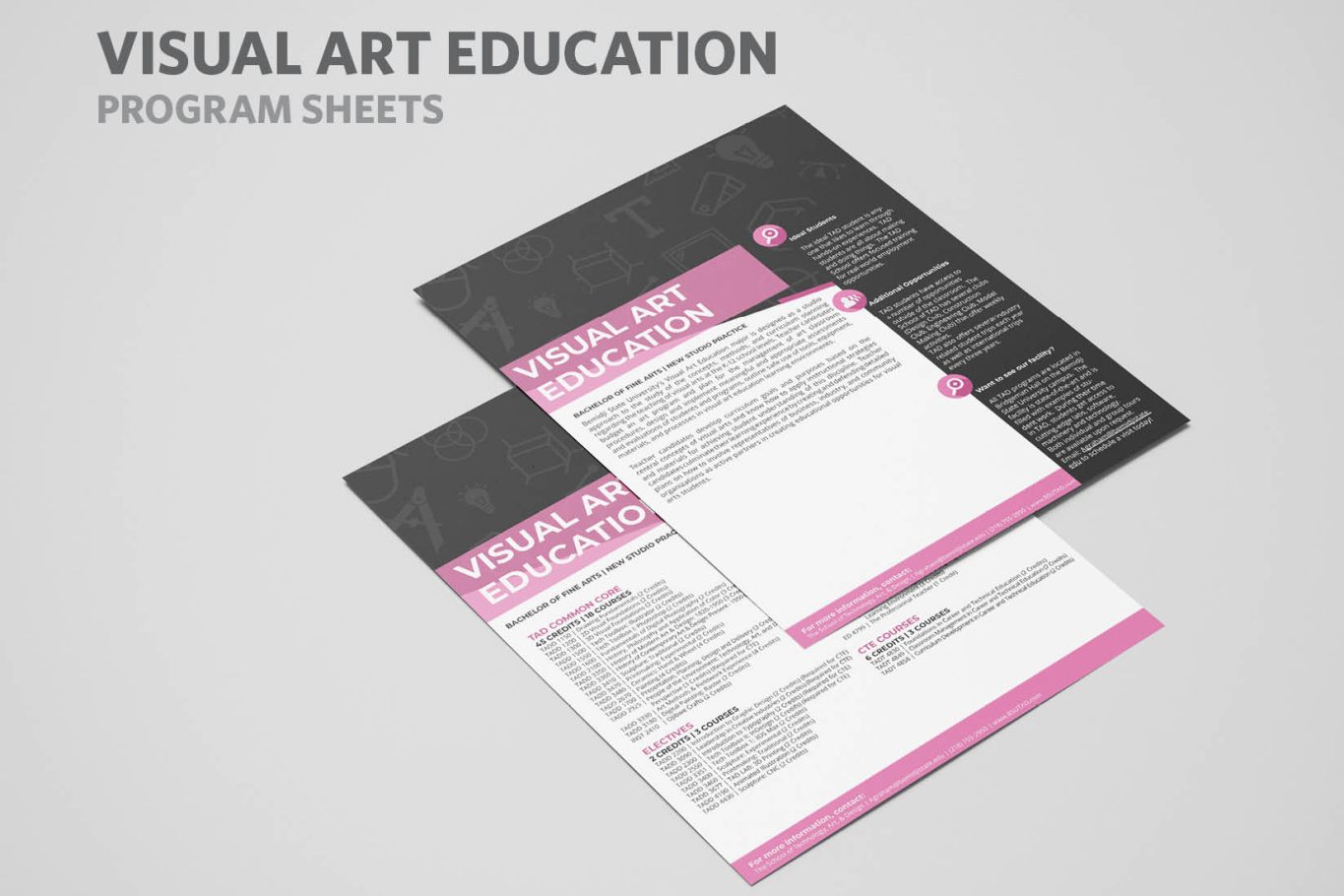 Project Examples | Digital Corps | Bemidji State University