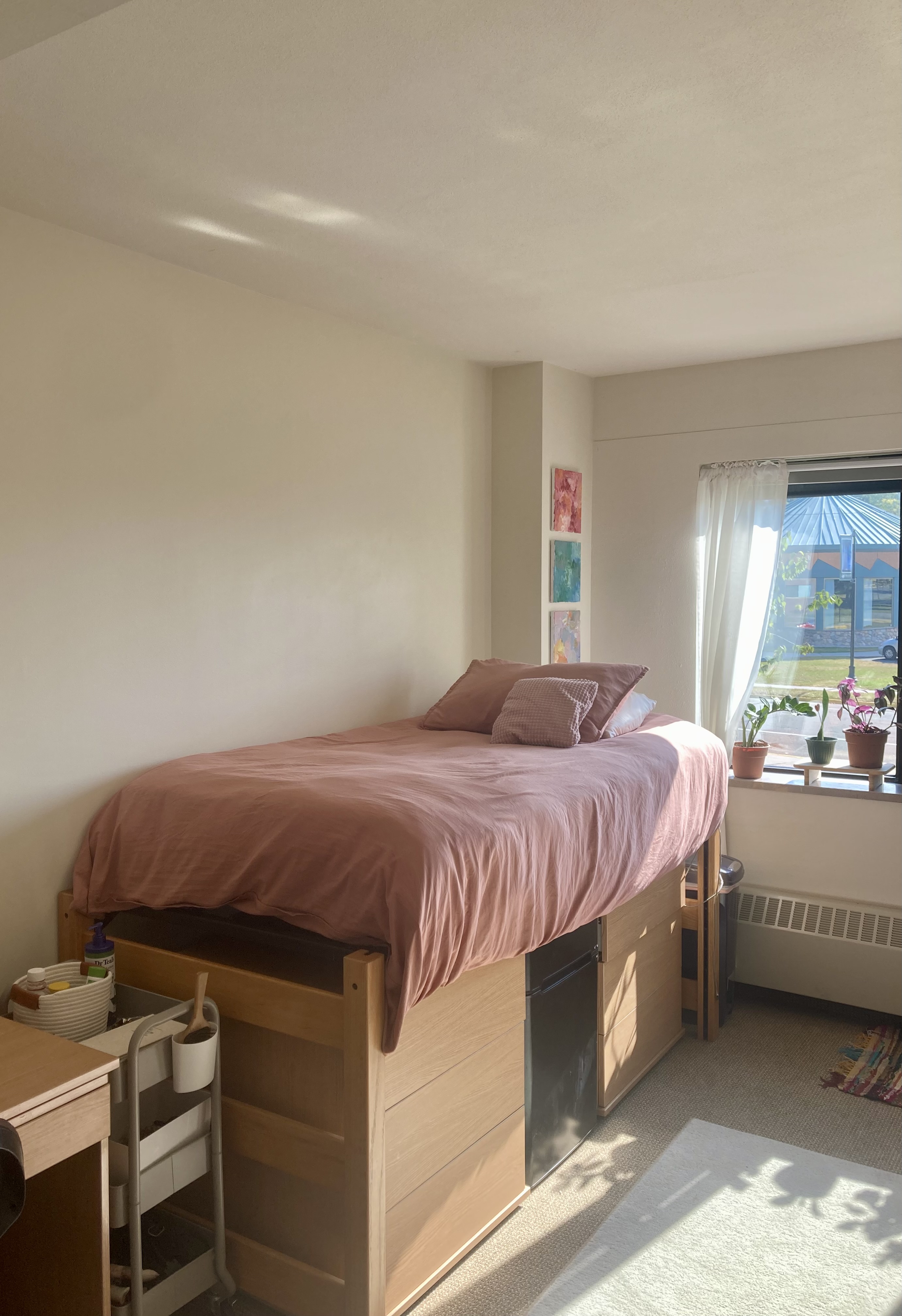 Birch Hall | Housing & Residential Life | Bemidji State University