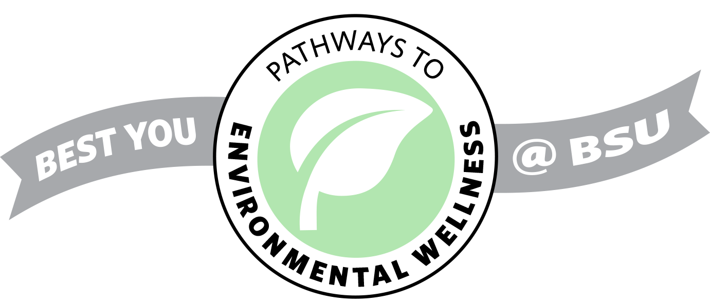 7 Dimensions of Wellness | Student Life | Bemidji State University